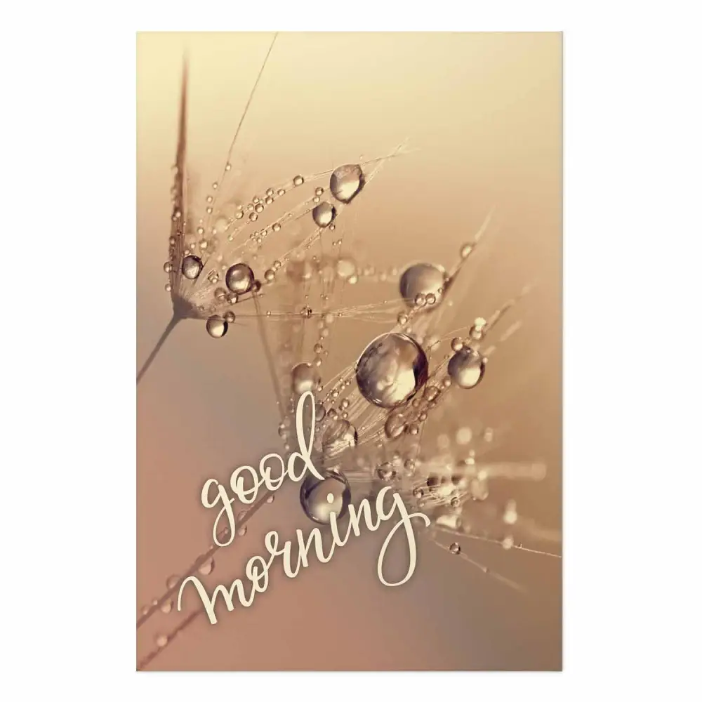 Wall Poster Good morning - water drops on dandelions and warm-colored ...