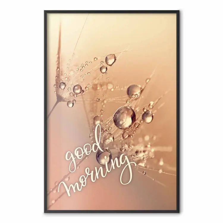 Poster Good morning - water drops on dandelions and warm-colored ...