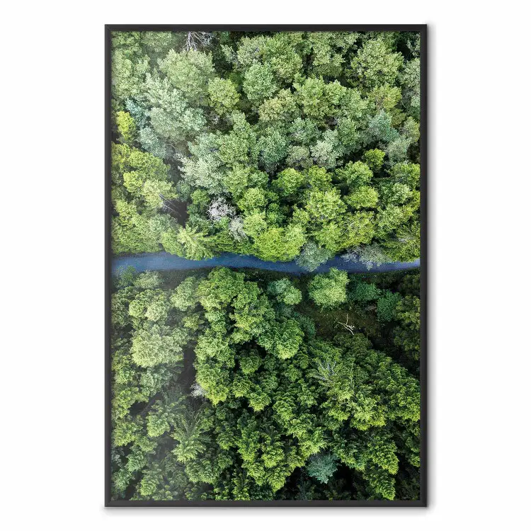 Wall Poster Path through the forest - green landscape of forest trees ...