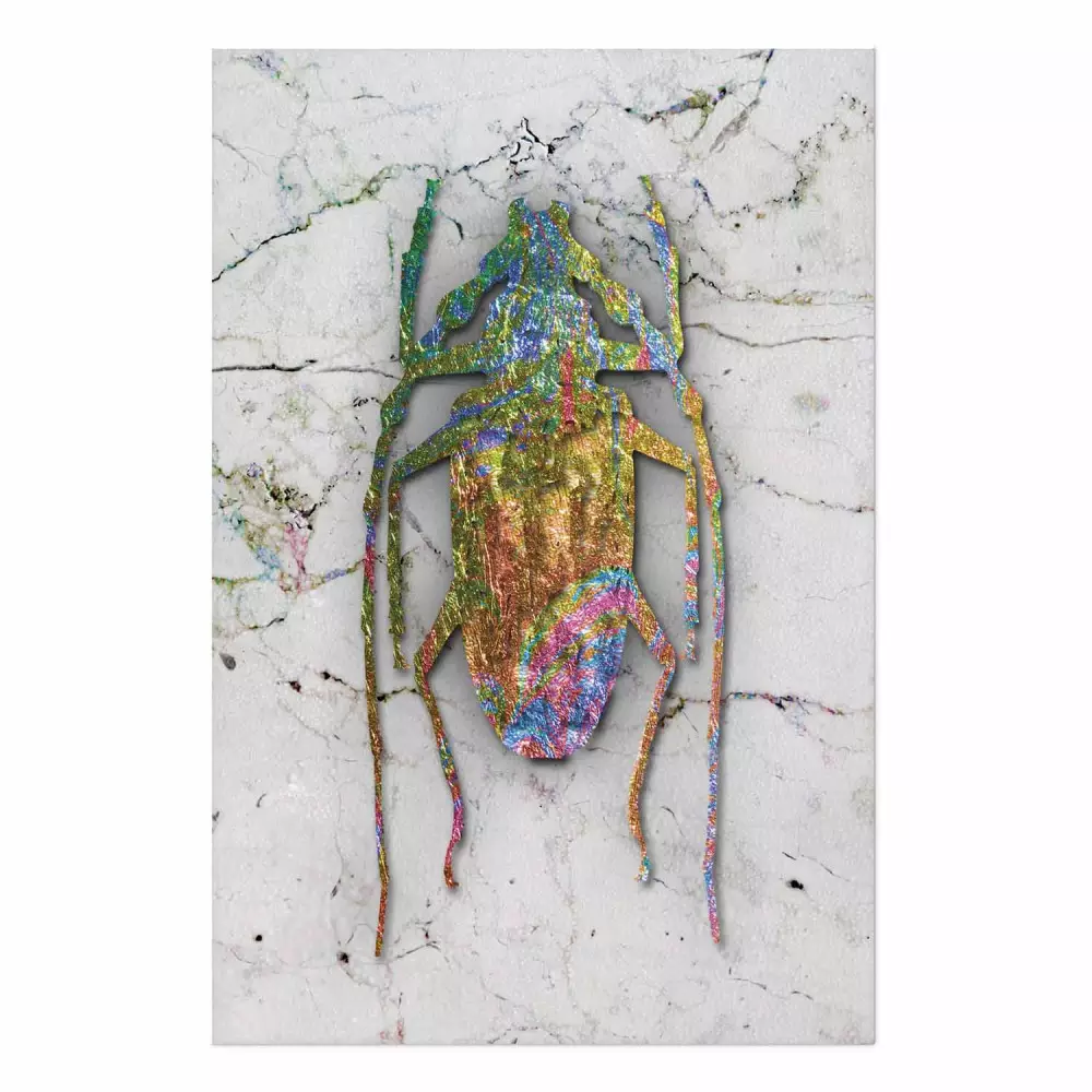 Poster Insect World - unique colorful composition on a marble-textured ...