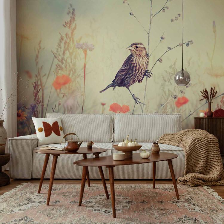 Birds Murals, Birds Wall Murals, Bird Mural Wallpaper, Hummingbird ...