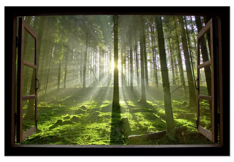 Large canvas print Dawn in the Forest - window view of a forest ...