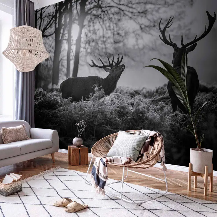 Wildlife Wall Murals Animal Mural Wallpaper & Wildlife Wall Murals
