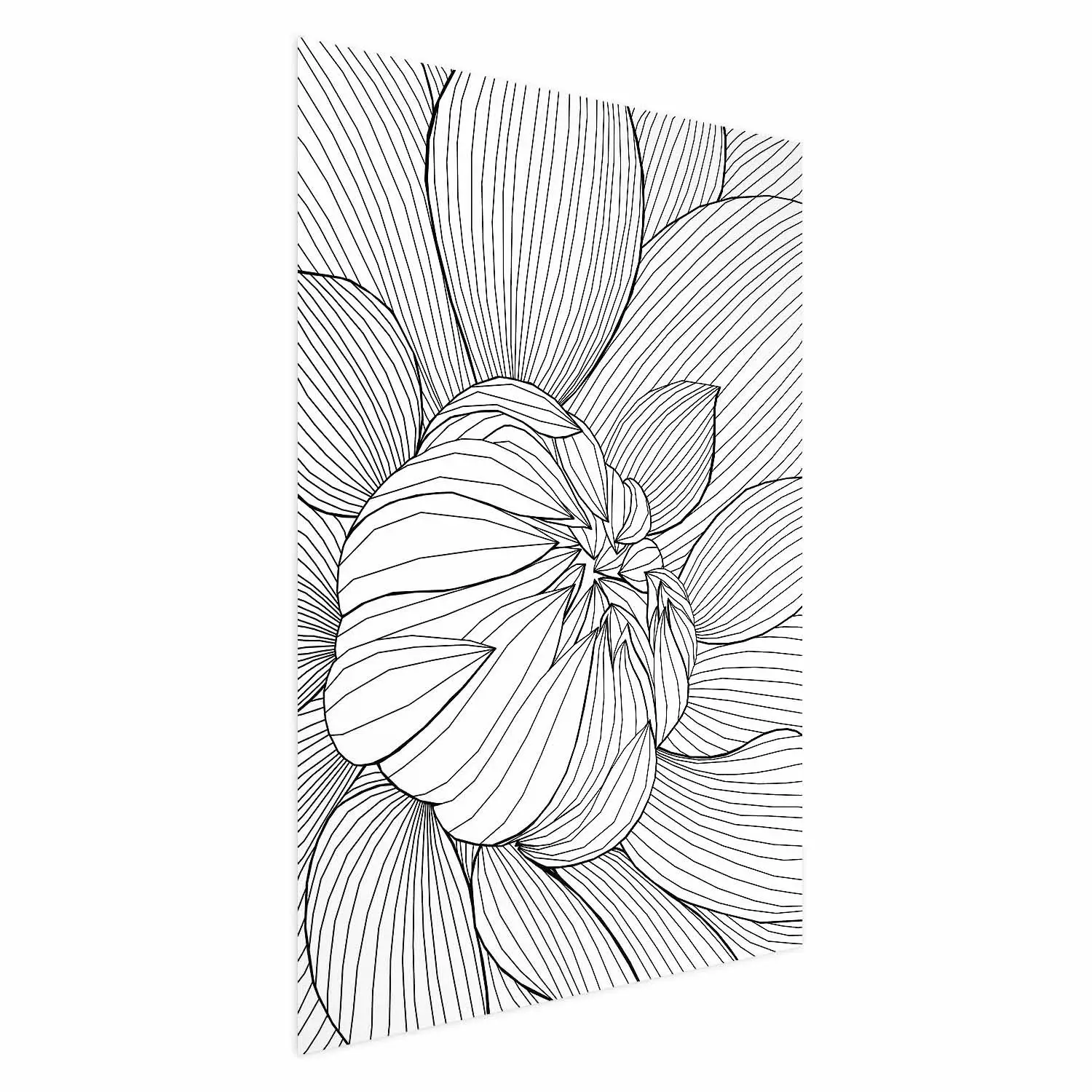 sentire coloring pages of a rose