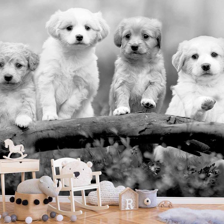 Dog Wall Murals, Dog Murals For Wall, Dog Mural Wallpaper, Puppy Dog ...