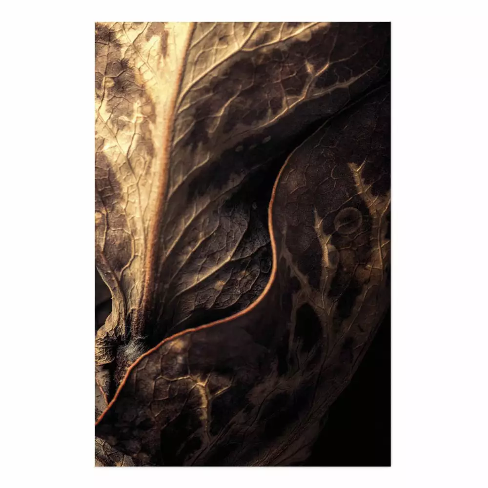 Poster Tangled Trace - golden leaf with distinct texture on a black ...