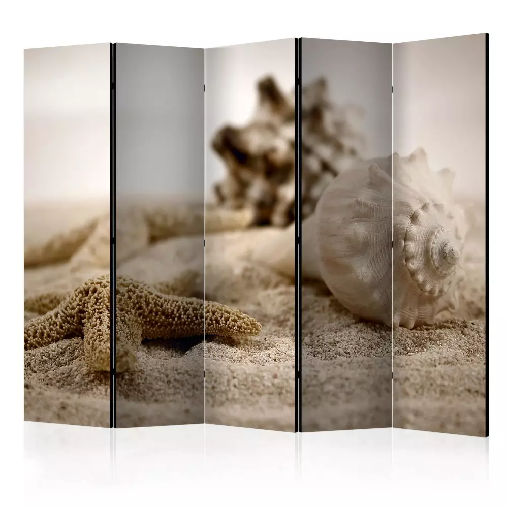 Room Divider Beach and Seashell II - beige composition of various ...