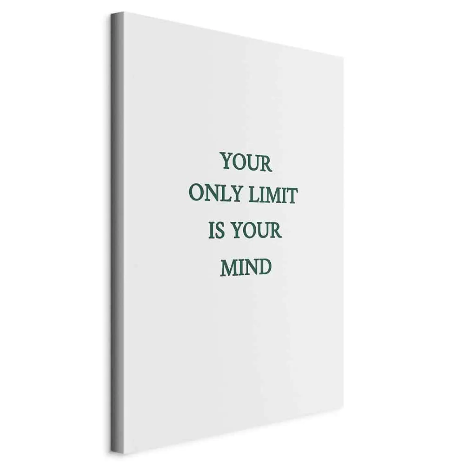Mind Frame Quotes