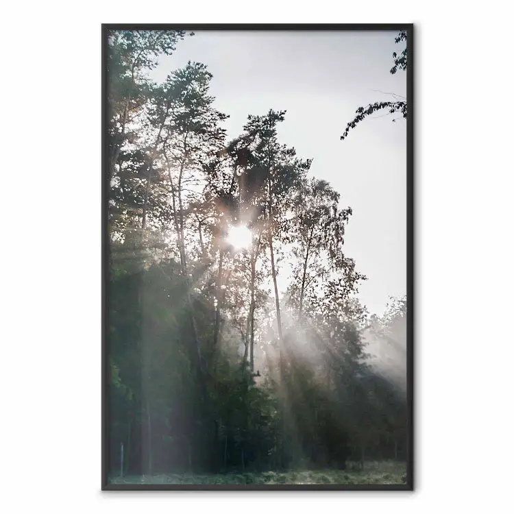 Wall Poster New Hope - forest landscape among trees with sunrise in the ...