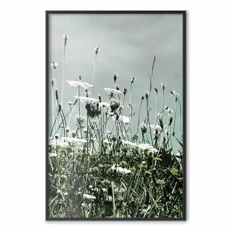 Poster Midsummer - landscape of a flower-filled meadow with cloudy sky ...