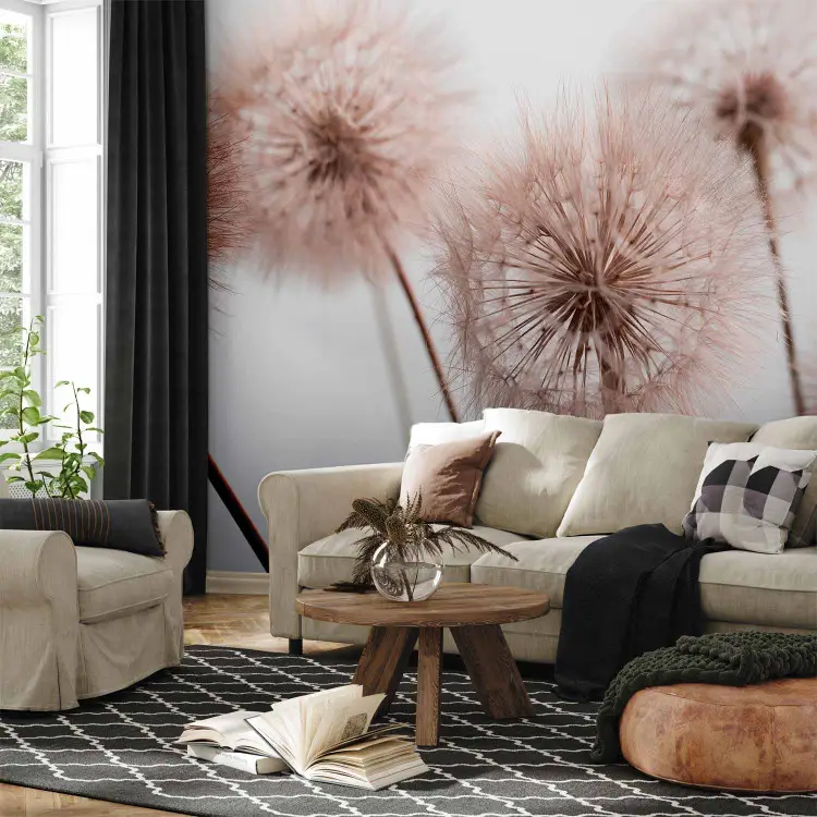Dandelions Wallpaper Photography Dandelion Seeds Close Up Blowing In