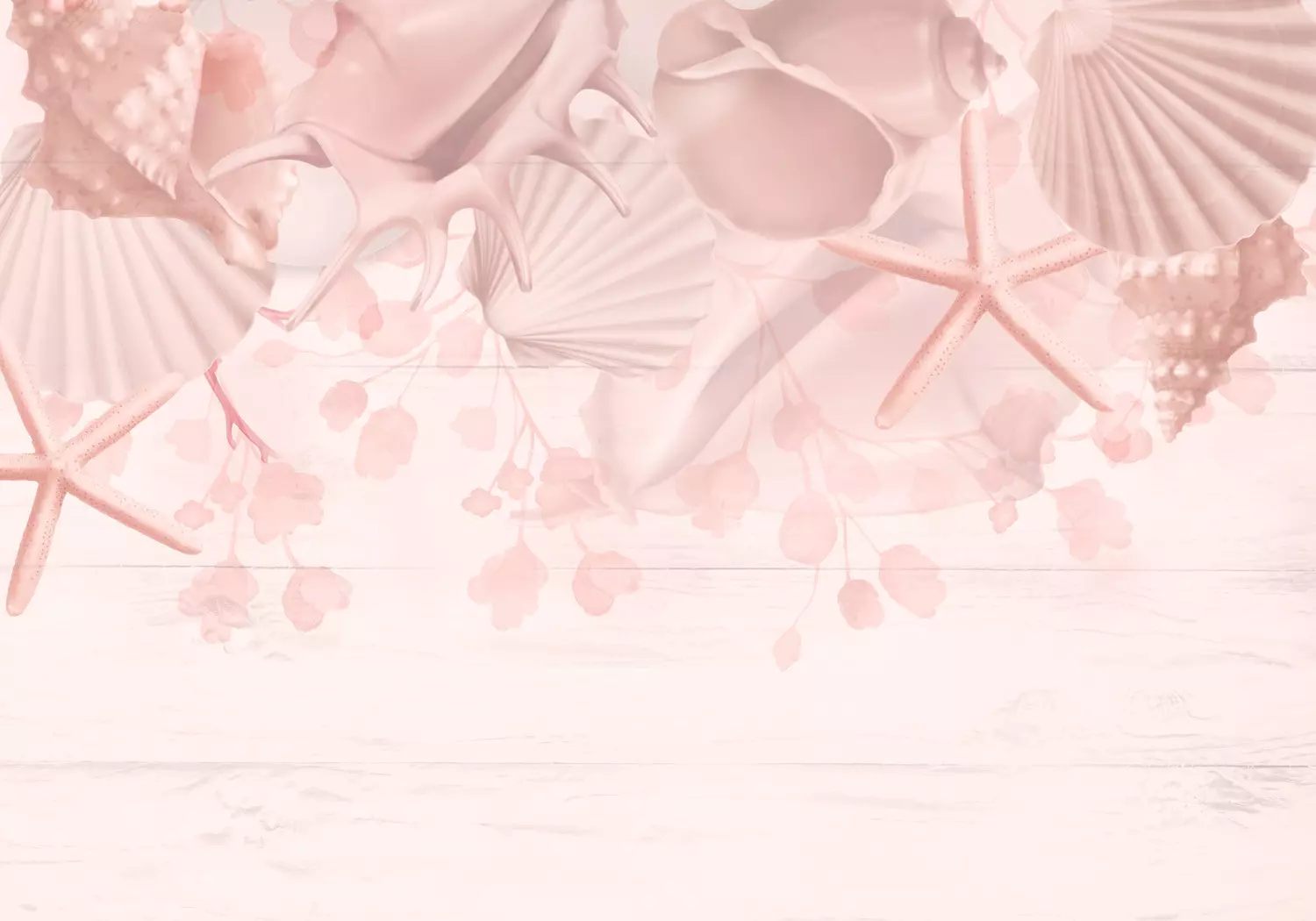 seashell wallpaper pink