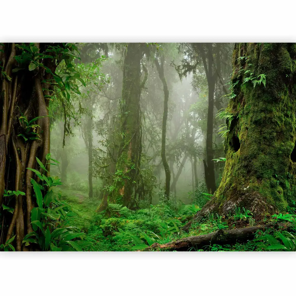 Photo Wallpaper Jungle in Nepal - Tropical Forest With Green Vegetation ...