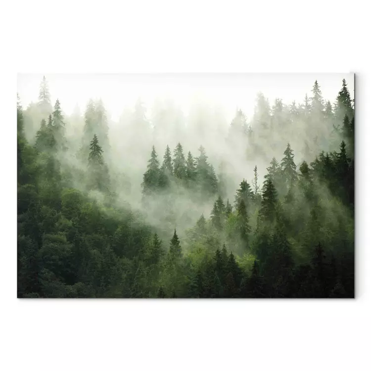 Large XXL canvas print Mountain Forest - View of Green Coniferous Trees ...