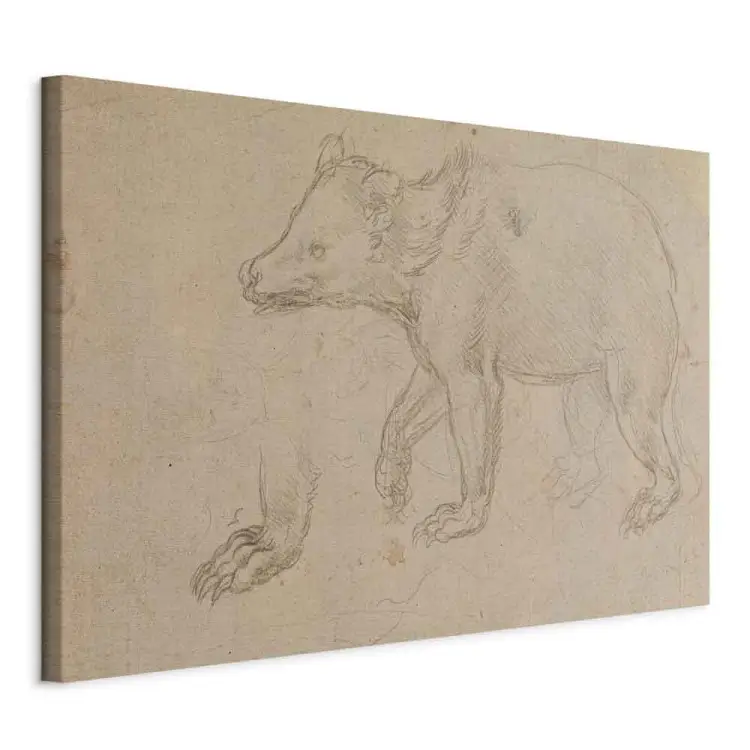 Reproduction Painting Sketch of a Bear - bimago