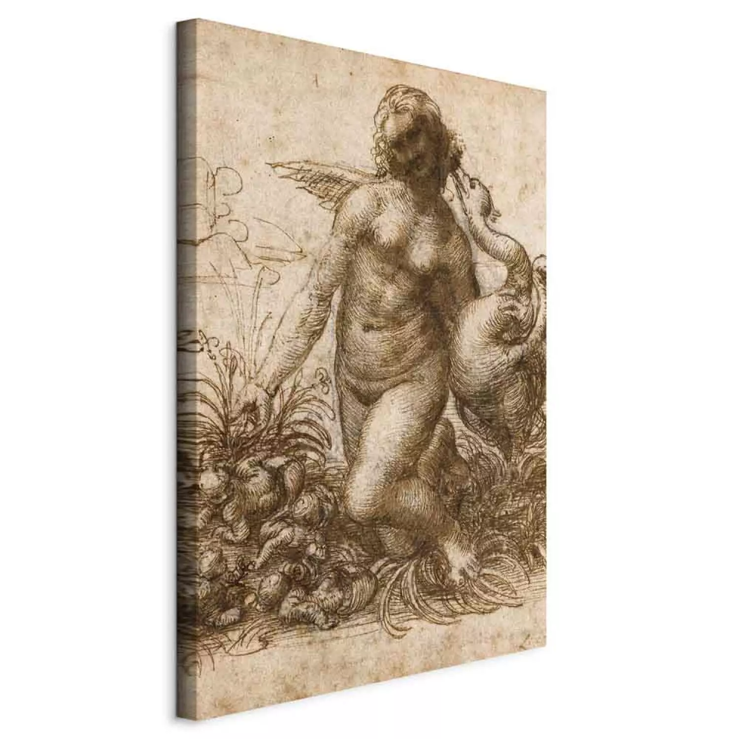 leda and the swan leonardo