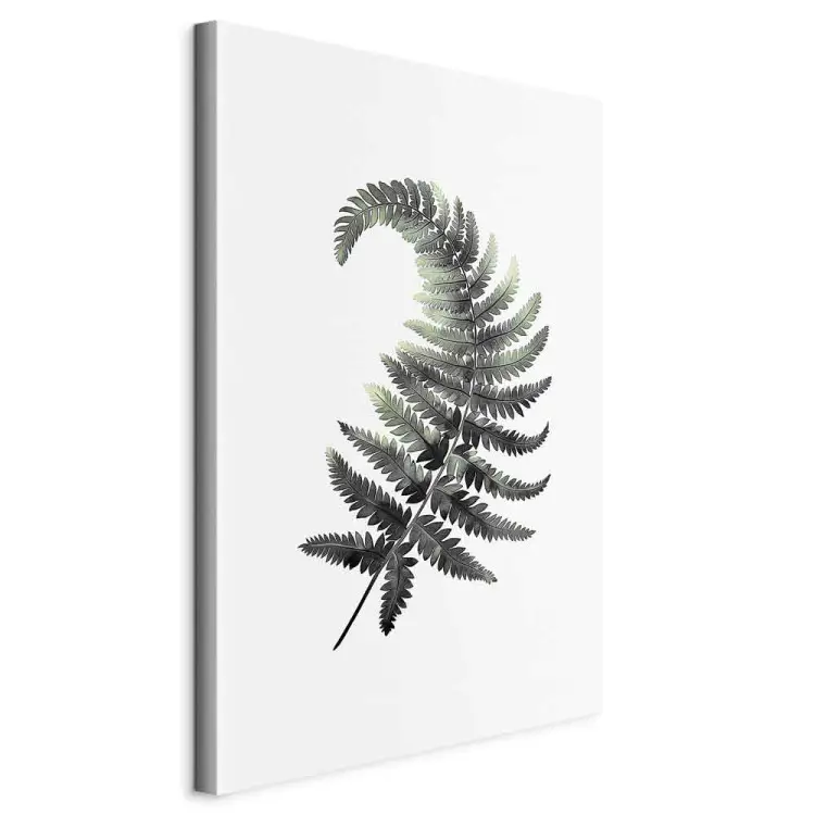 Canvas Print Curved fern - the simplicity of nature in a minimalist ...