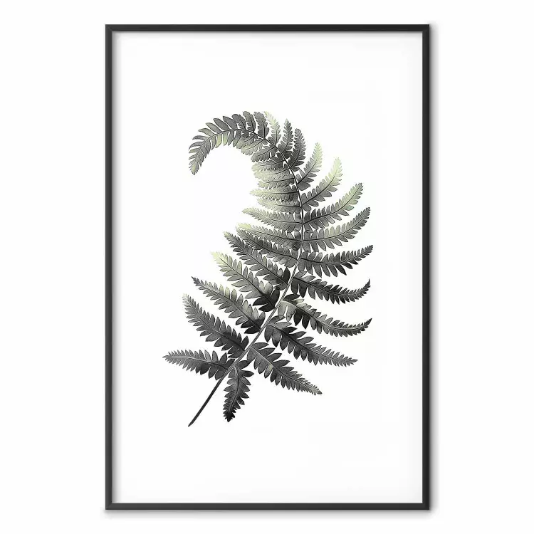 Poster Gray fern - the simplicity of nature in a minimalist form - bimago