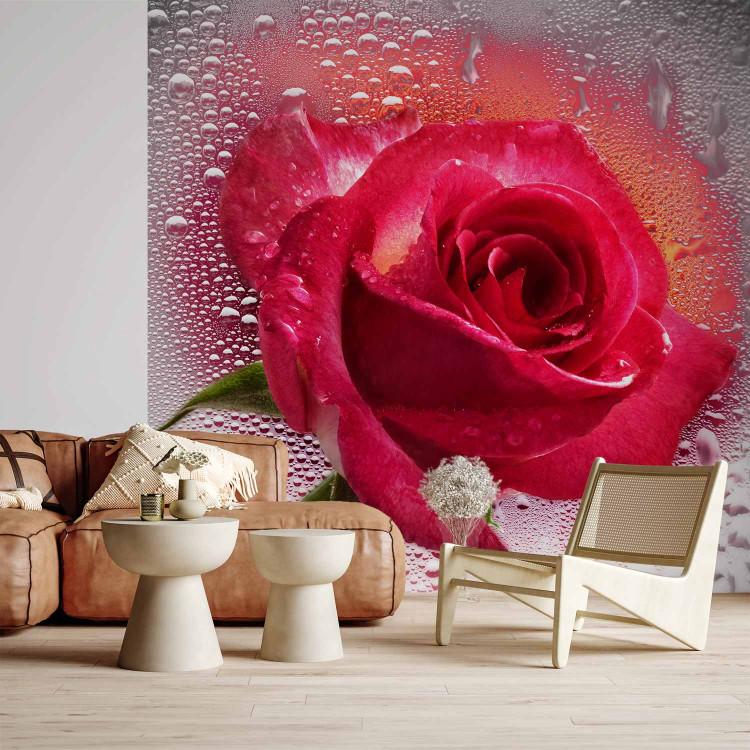 Rose Wall Painting, Roses Mural, Rose Wall Murals, Rose Murals For Wall ...
