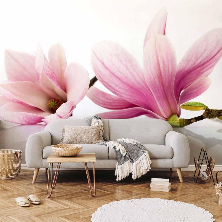 Magnolias Wall Murals, magnolia wall mural, magnolia mural, magnolia ...