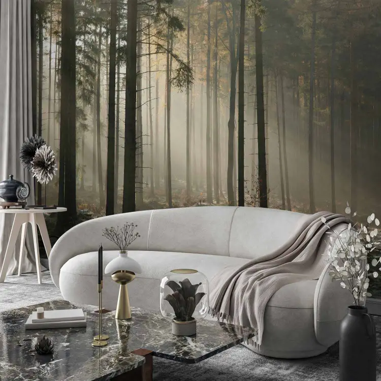Forest Mist Fall Misty Forest | Wandervisions