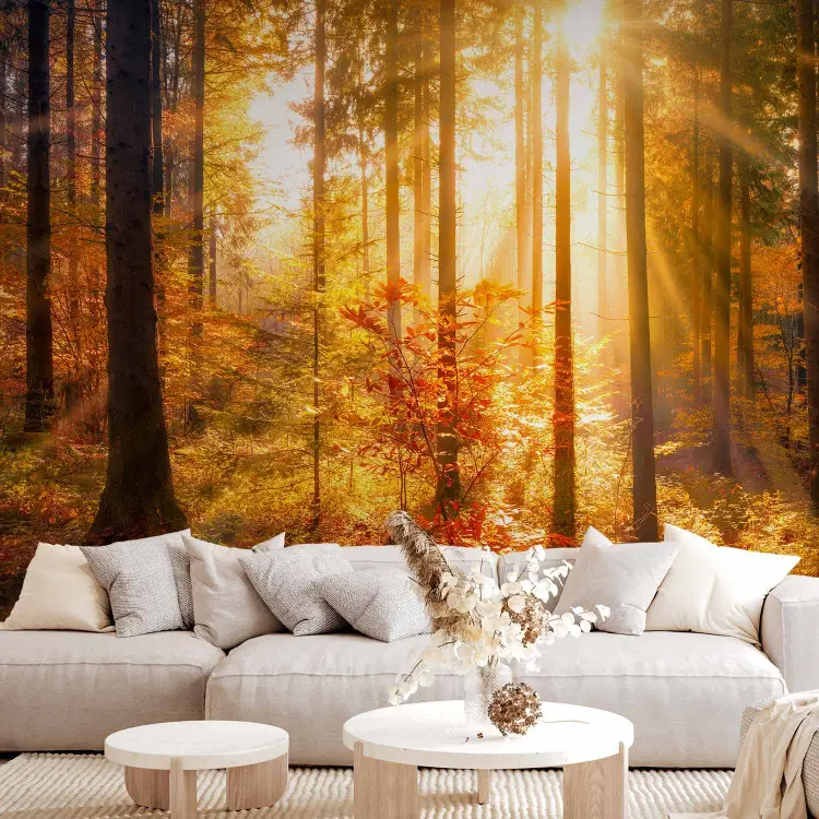Wall Mural Autumn Awakening - bimago