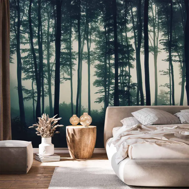 Wall Mural Dark Forest - bimago