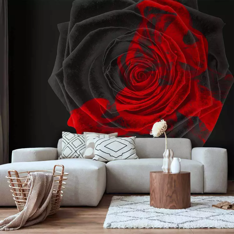 Black And Red Rose Wallpaper Wallpaper BACKGROUND, PETALS, PAIR,