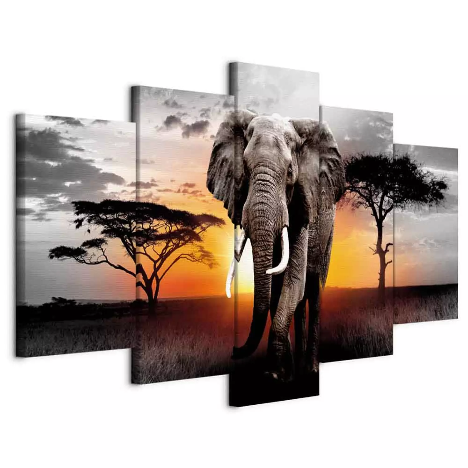 Elephant canvas art store