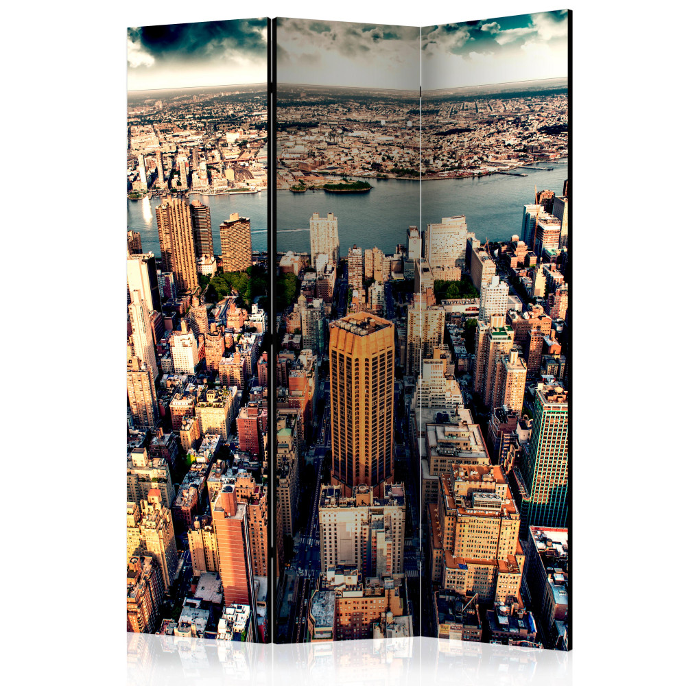 Room Divider Bird's Eye View of New York - city depicted from a bird's ...